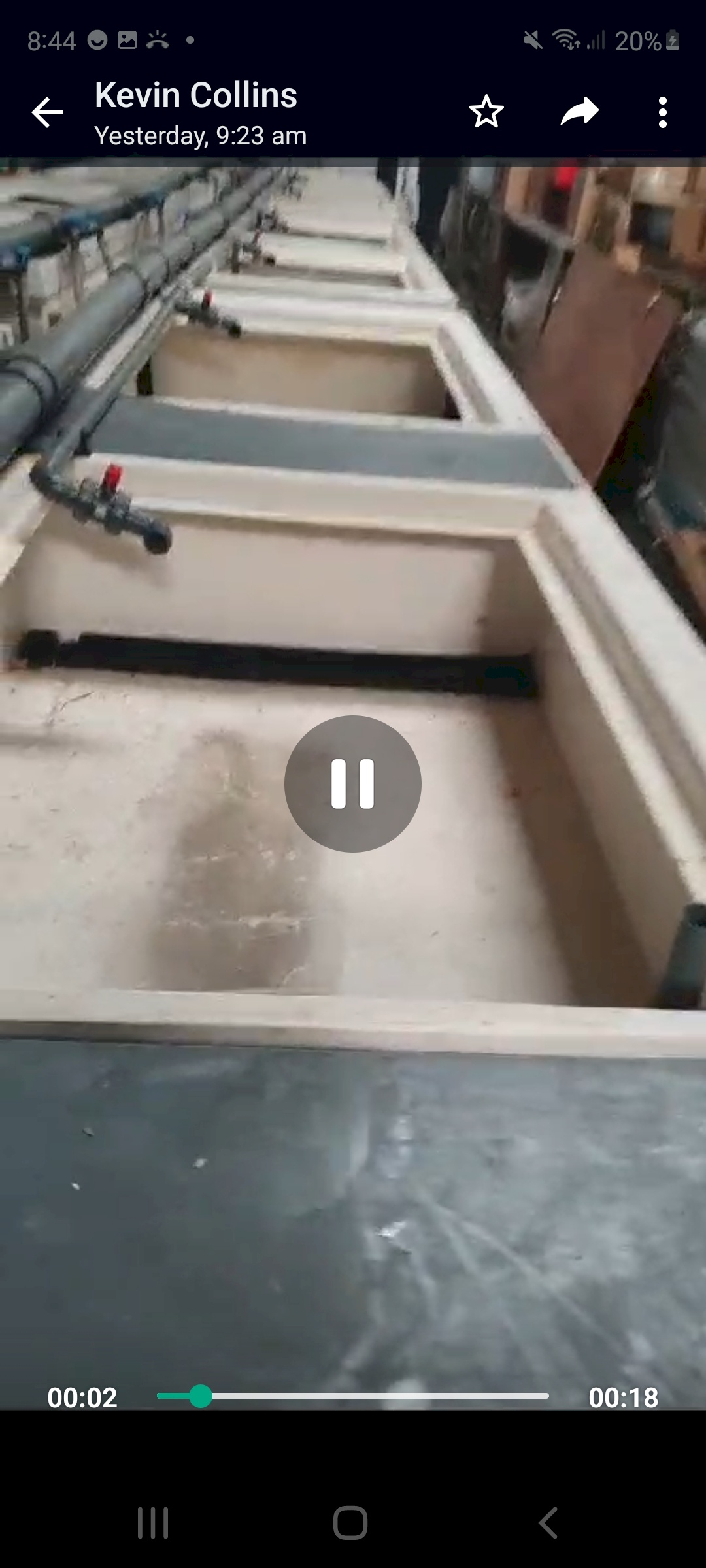 12 tanks live shellfish tank system