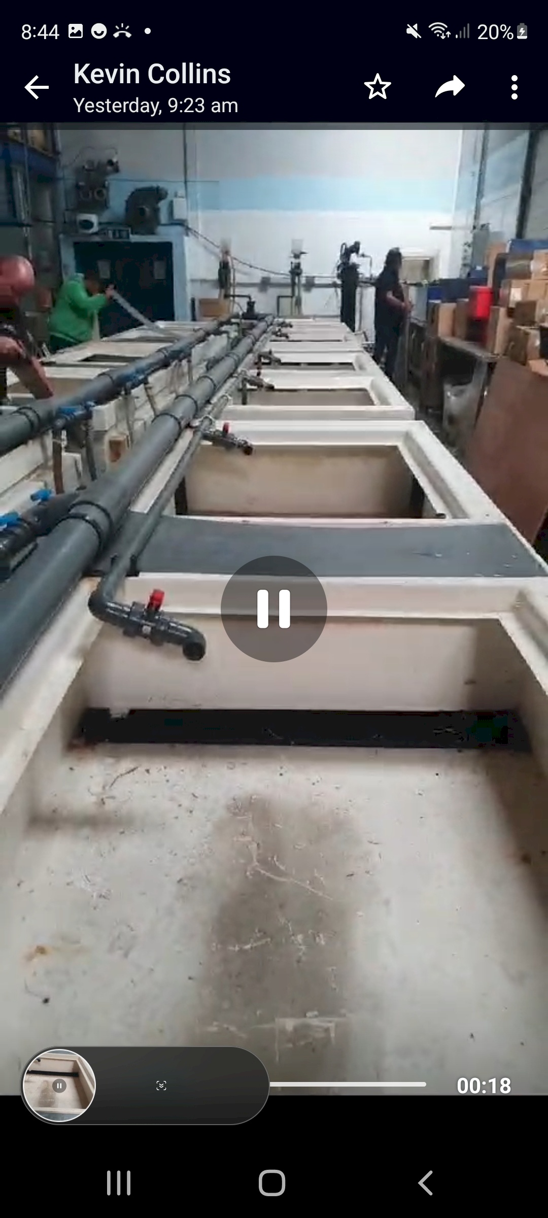 12 tanks live shellfish tank system