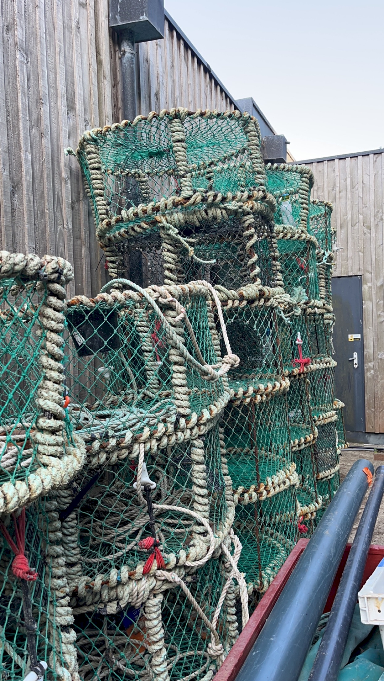 Casier à homard / seiche - Offre terminée