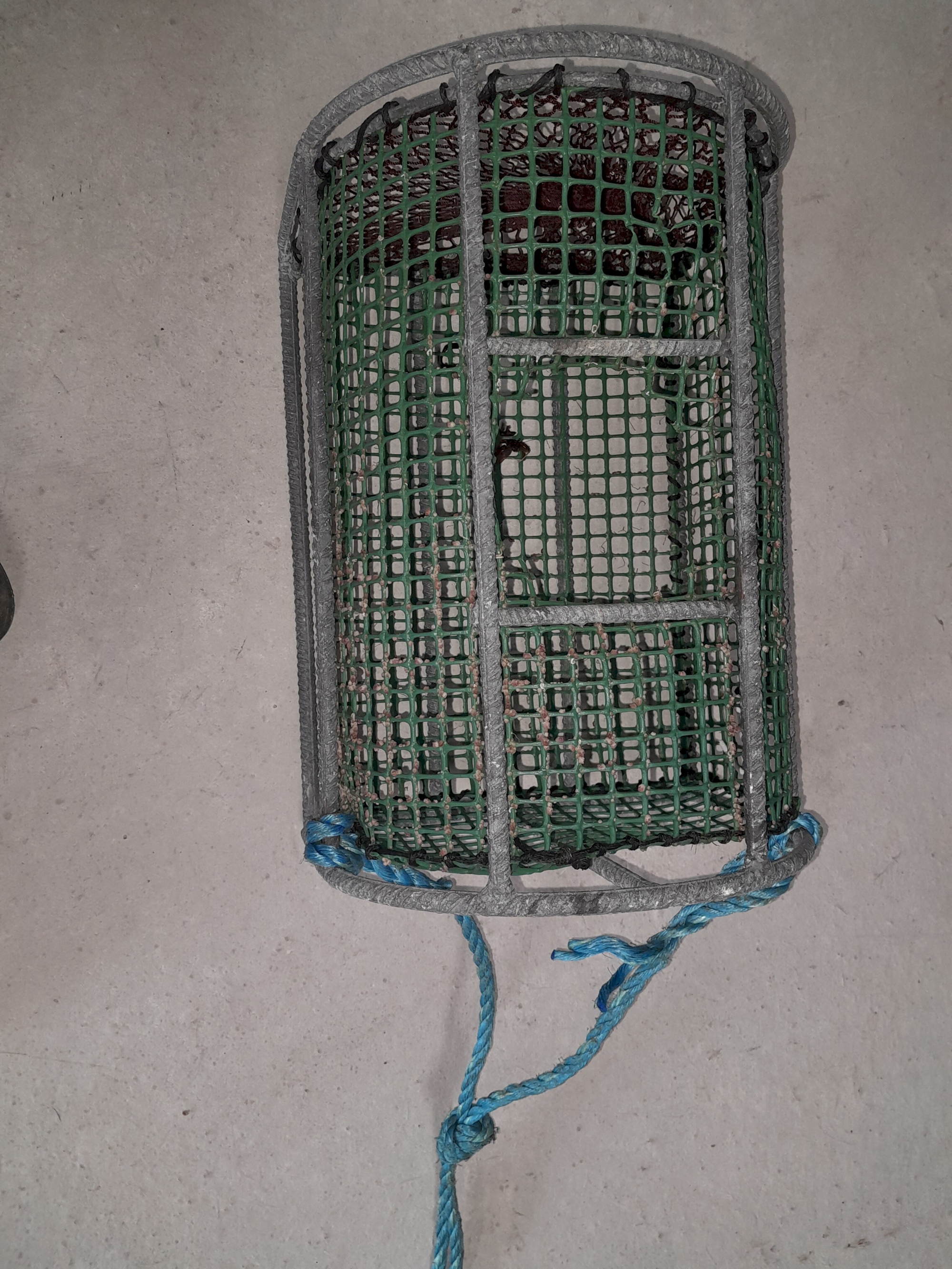 Octopus locker - Offer closed