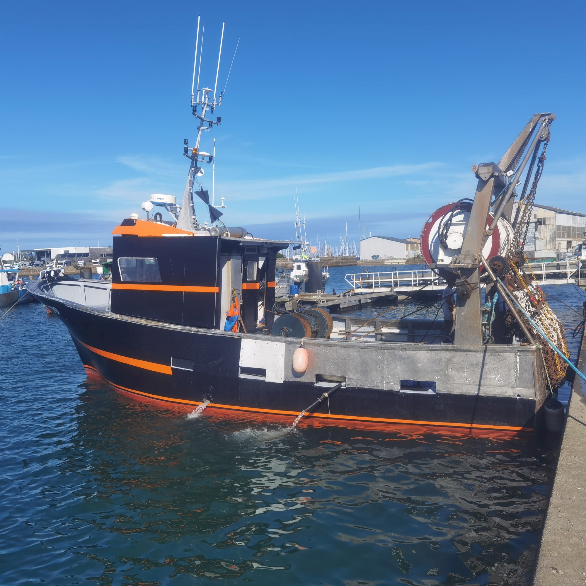 Chalutier coquillard polyvalent