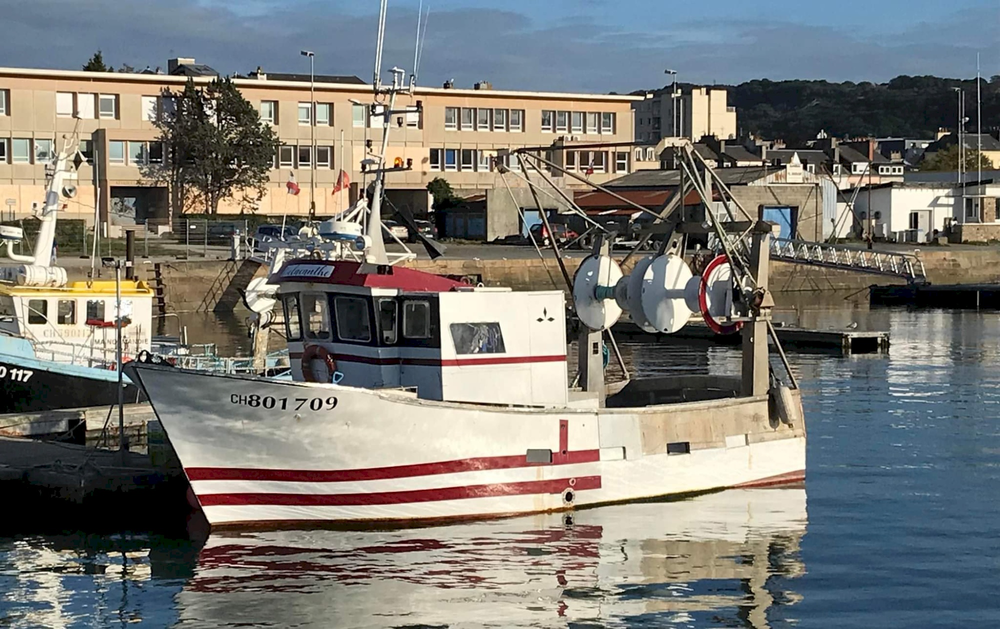 Chalutier coquillard