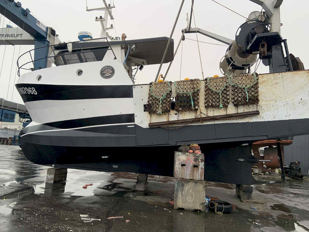 Chalutier coquillier polyvalent - Offre terminée