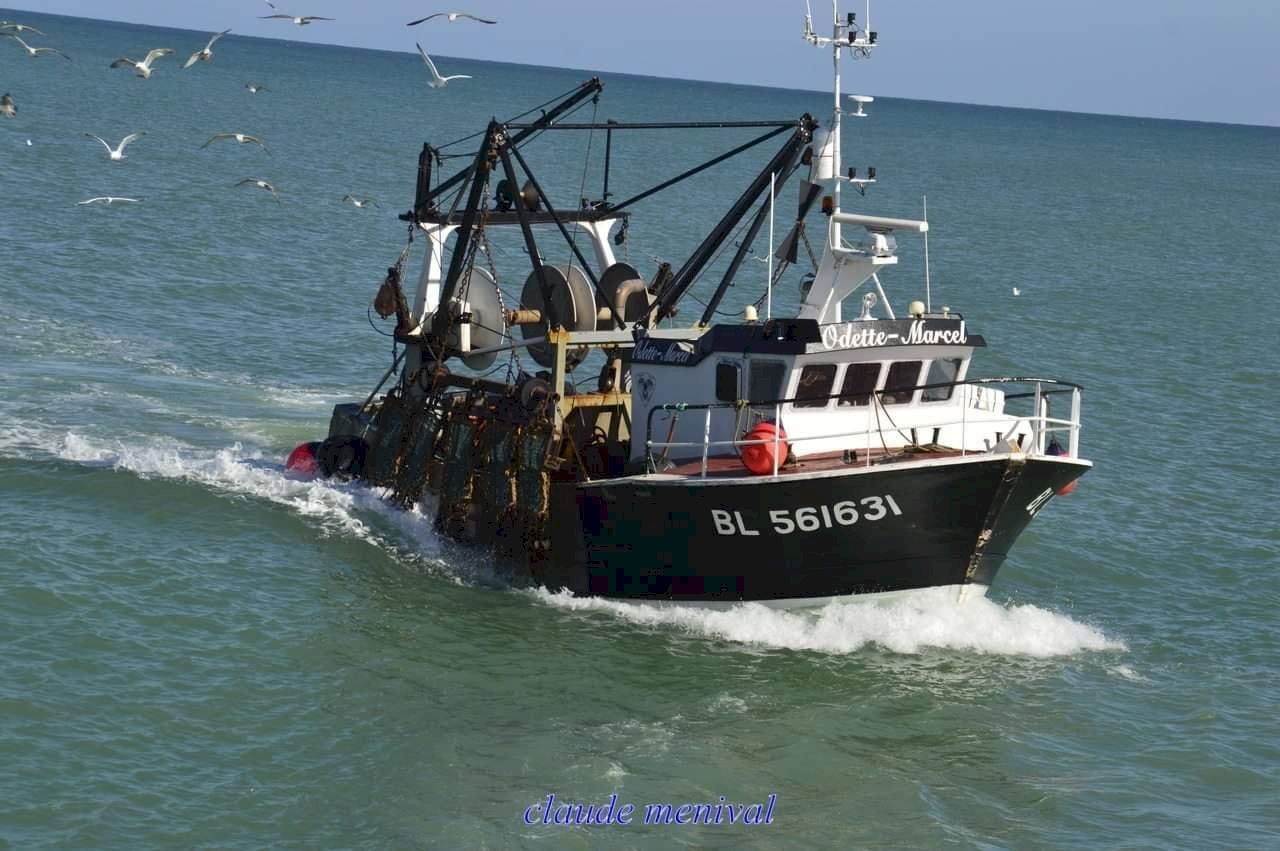 Chalutier ODETTE-MARCEL - Offre terminée