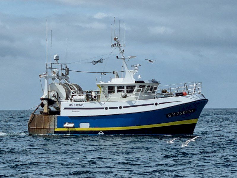 Chalutier polyester 14m