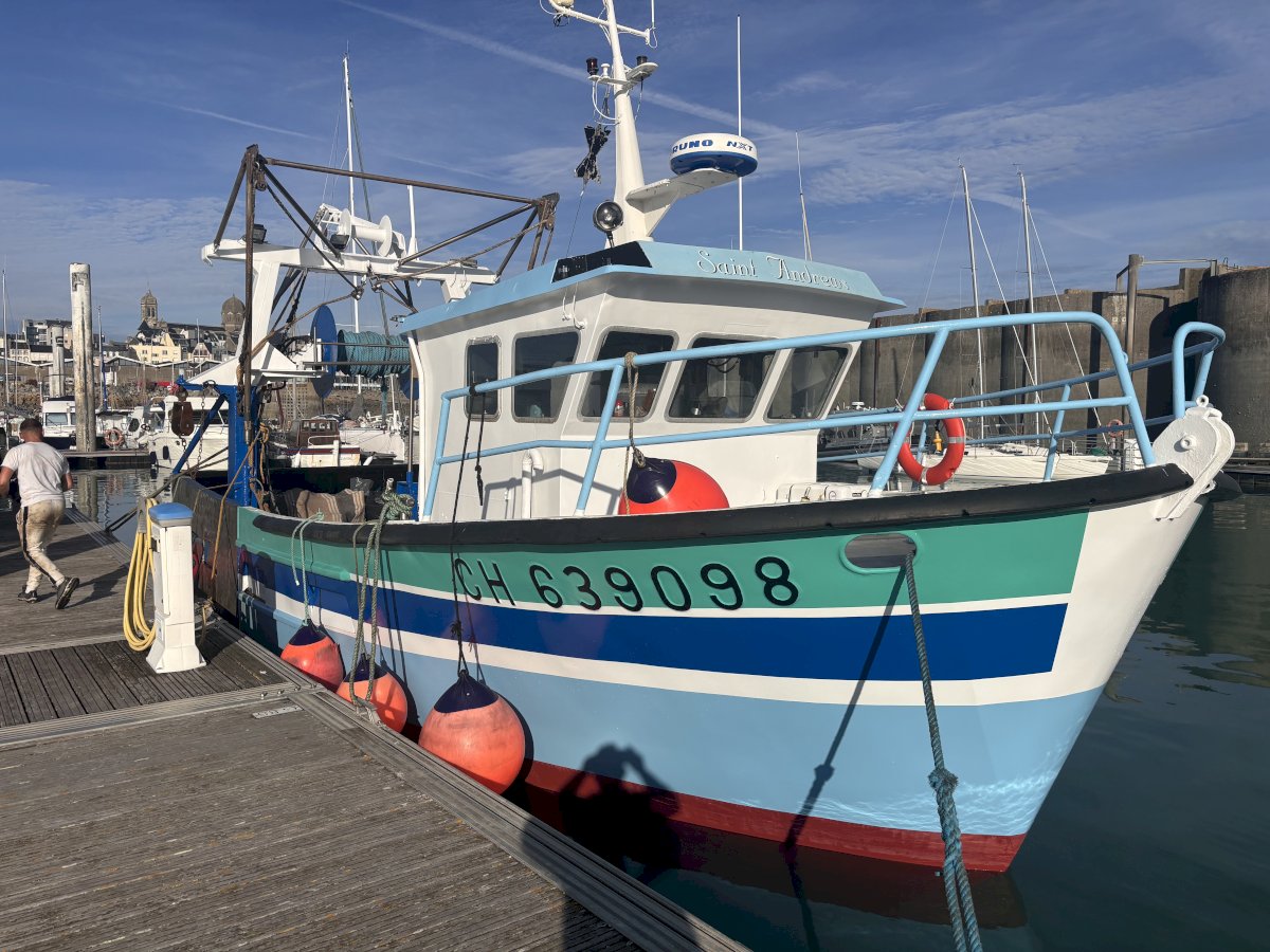 Chalutier polyvalent 11,82