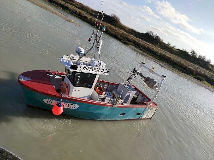 Chalutier polyvalent - Offre terminée