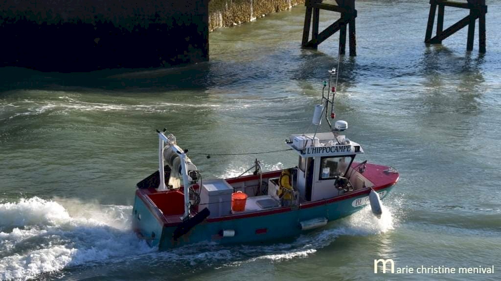 Chalutier polyvalent - Offre terminée