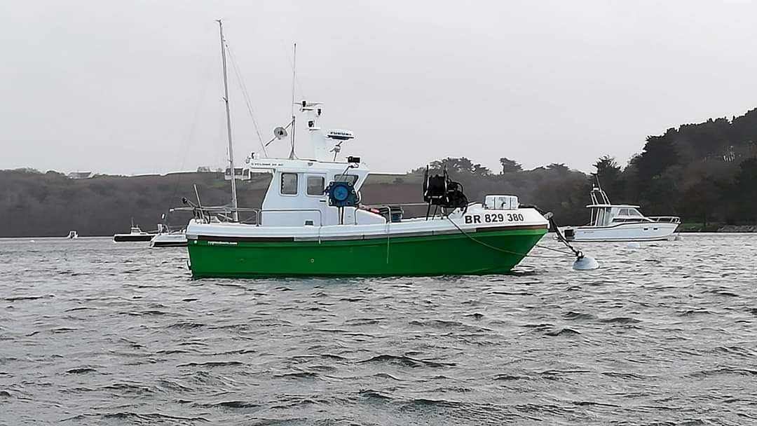 Ligneur polyvalent cygnus cyclone 26 - Offre terminée