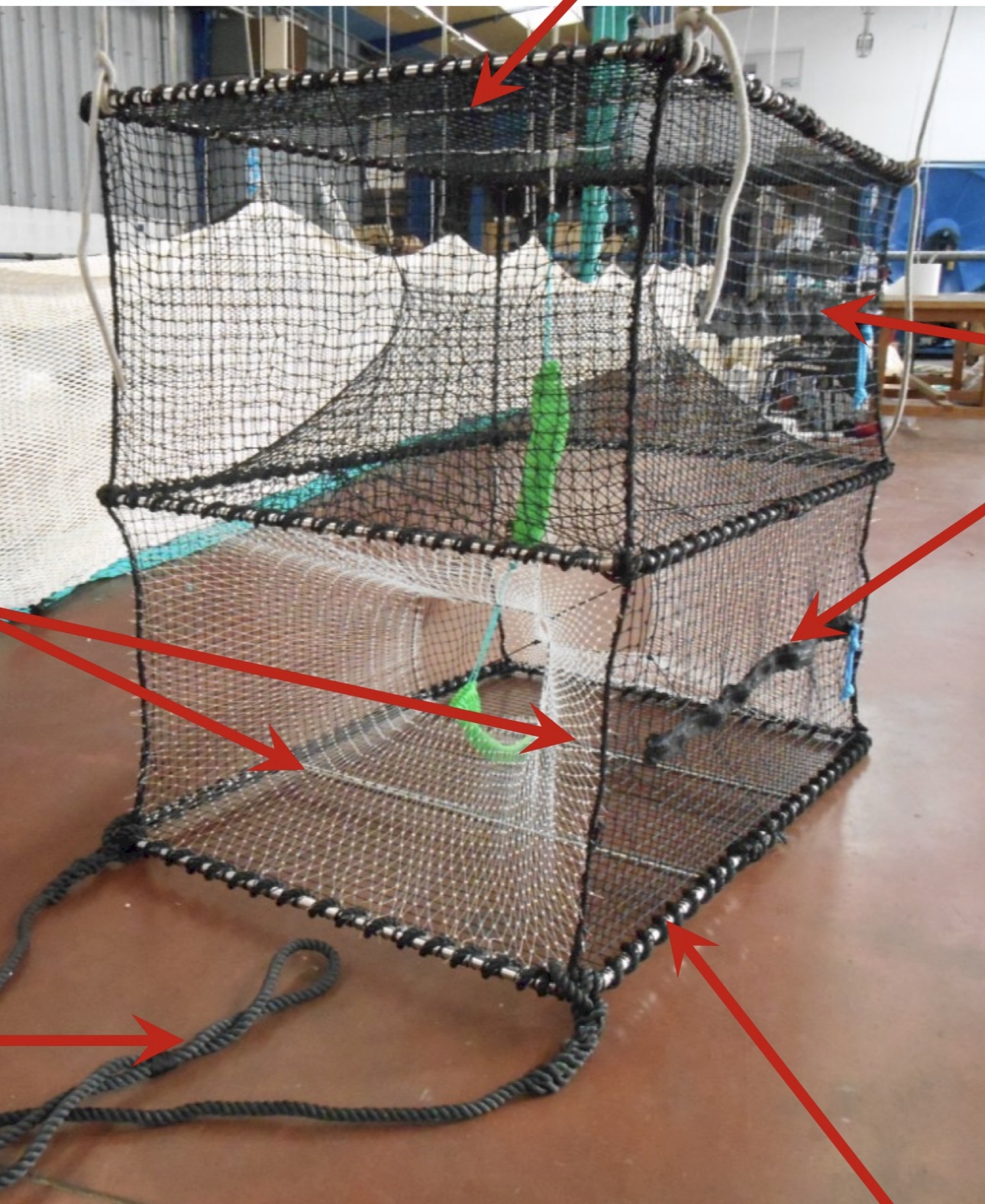 Nasse à poisson double étage - Offre terminée