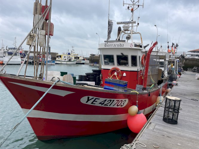 Multipurpose fishing vessel