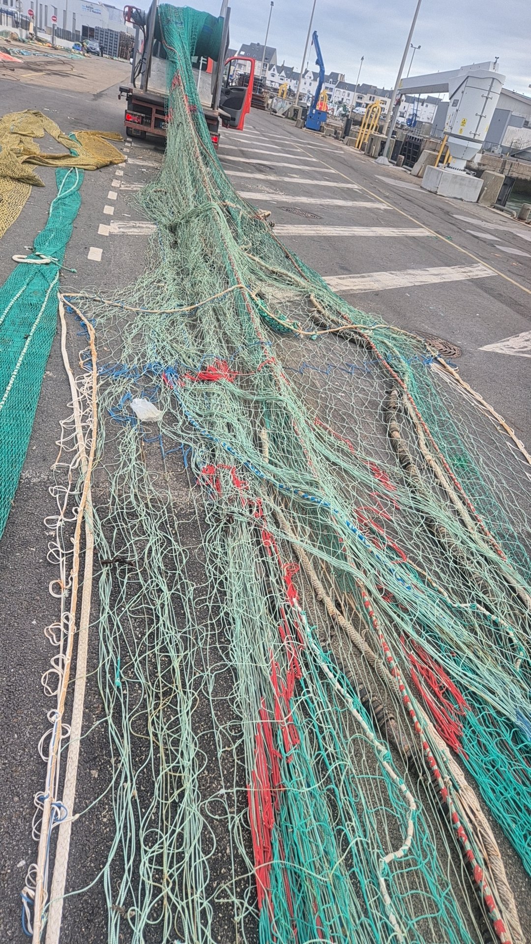 Semi pelagique 4 faces