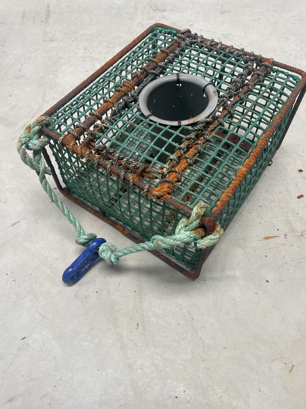 Octopus traps for sale